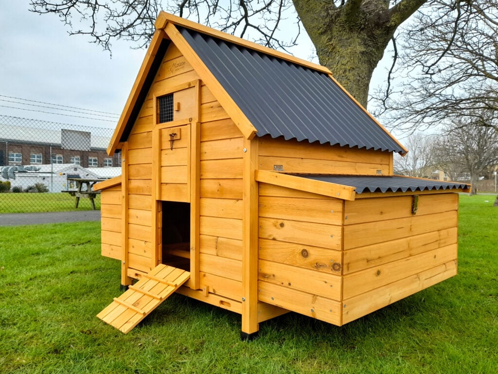 Chicken Coops for Sale | High-Quality & Fast UK Delivery